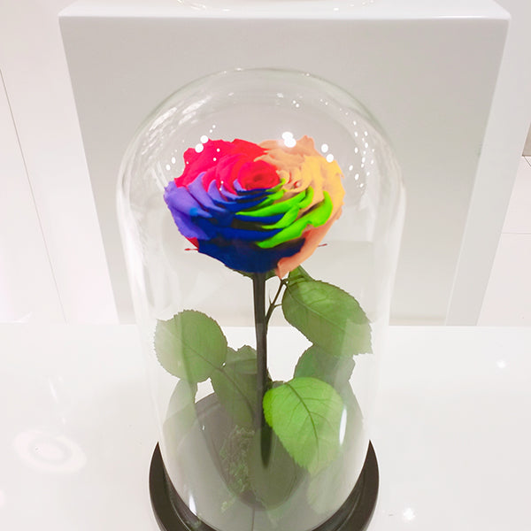 Infinity Rainbow Rose – BetterFlowers.ae